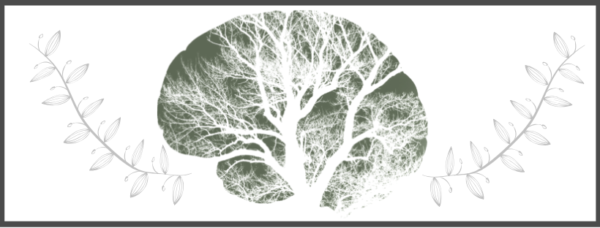 Skin-Brain Connection? - Spring Integrative Health