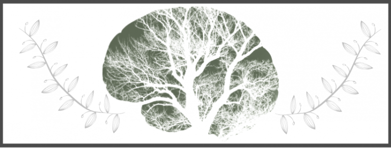 Skin-Brain Connection? - Spring Integrative Health